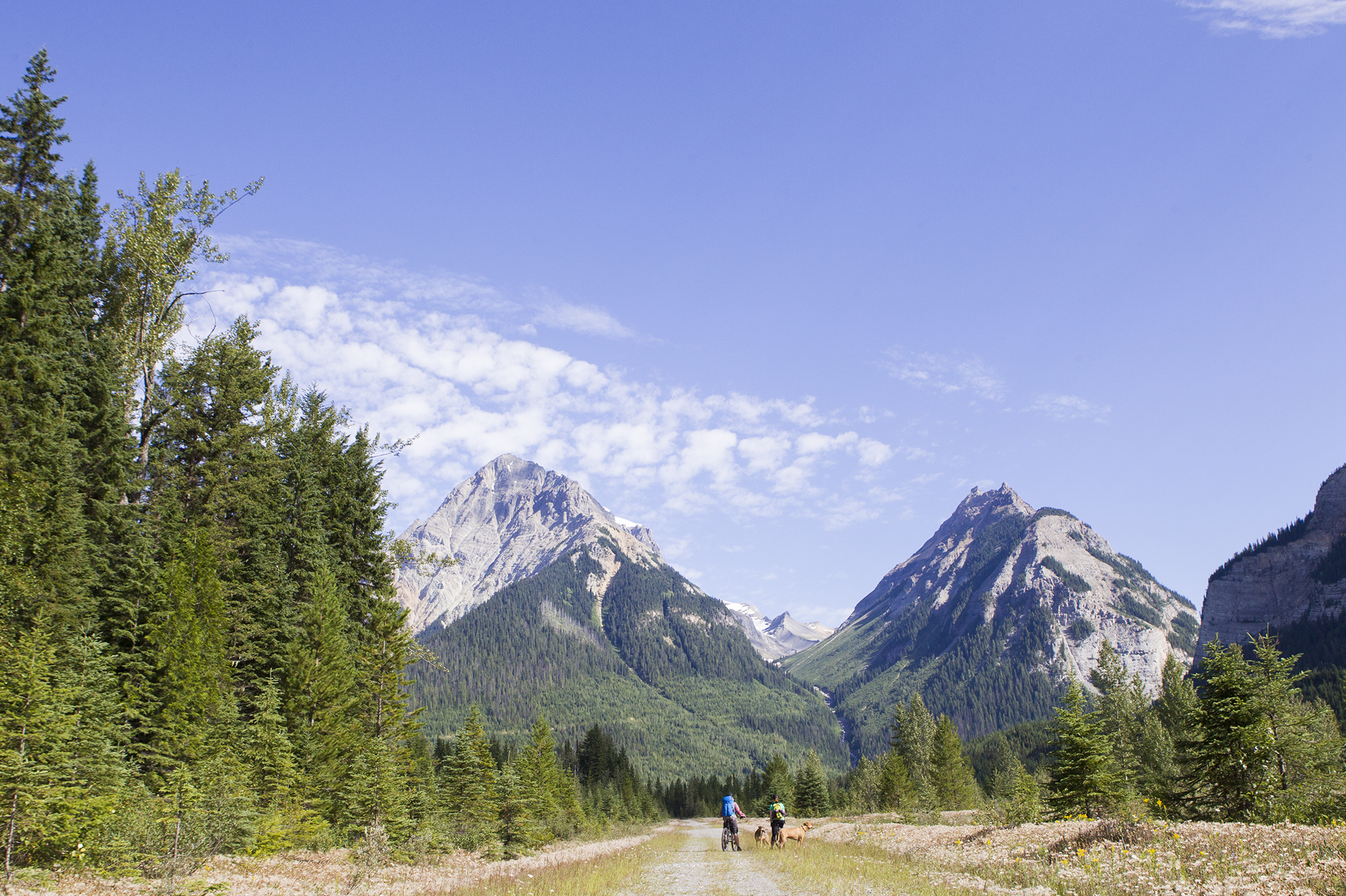 Golden Hikes: Mummery Glacier | Tourism Golden