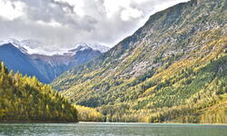 Kinbasket Lake | Tourism Golden