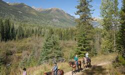 Horse Riding in Golden | Tourism Golden