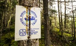 Hiking the Historic Howse Pass | Tourism Golden